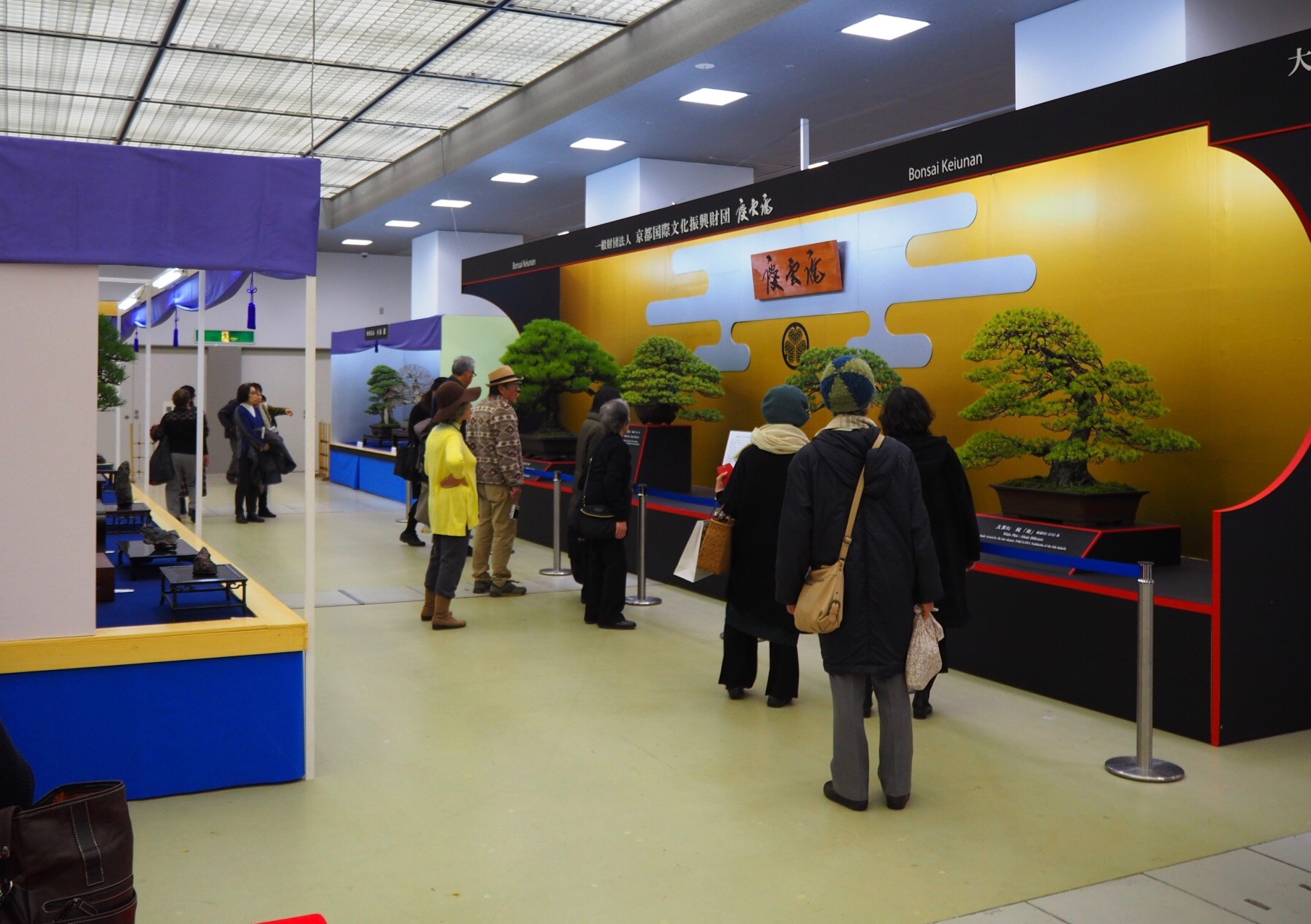 44th Japan Bonsai Taikan Exhibition - BONSAI JAPAN