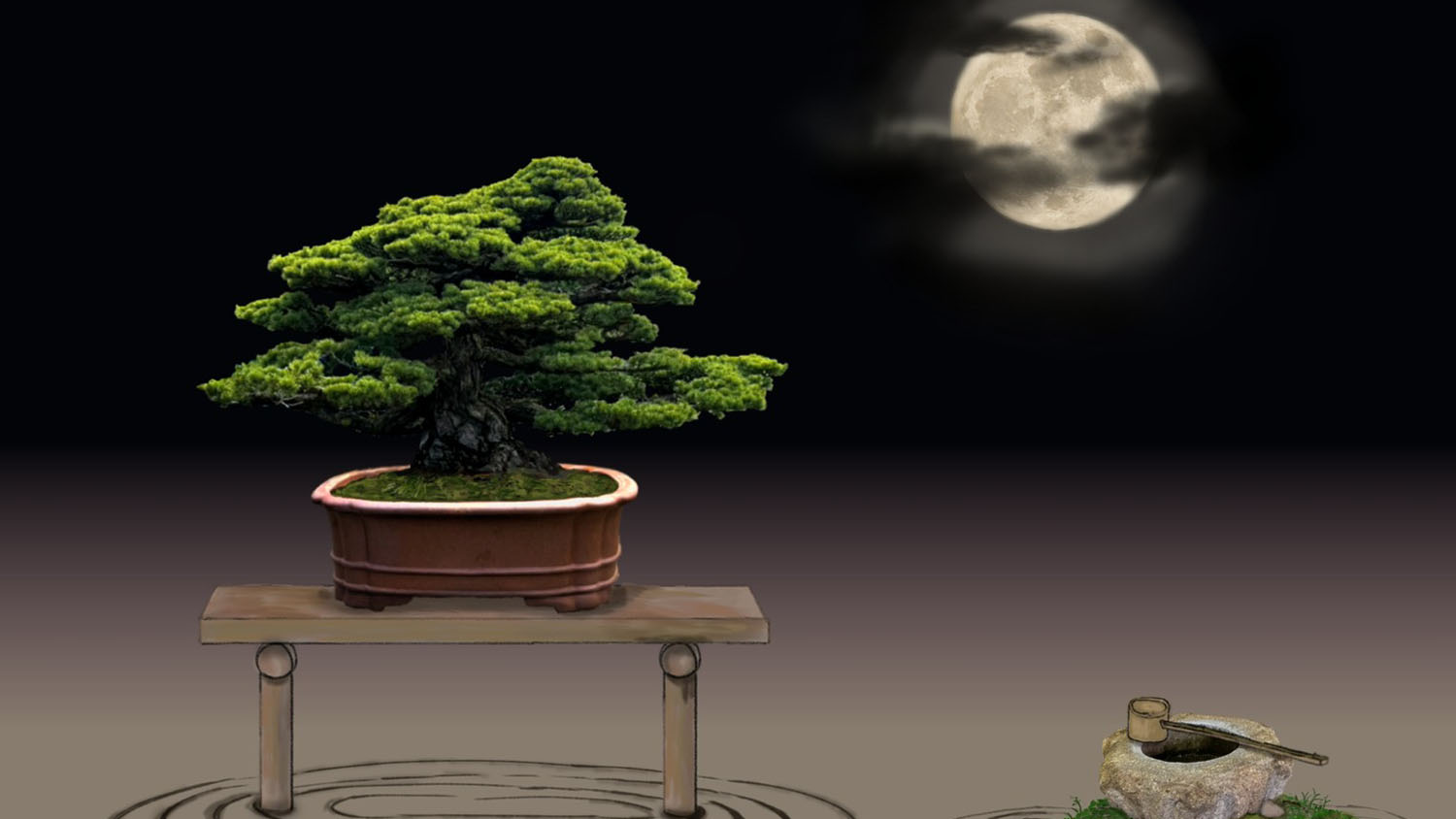 45th Japan Bonsai Taikan Exhibition - BONSAI JAPAN